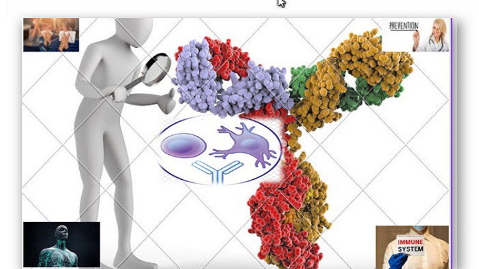 immunology step by step - Free Online Courses with Certificates