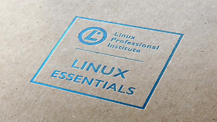 LPI Linux Essentials 010-160 Certification Exam Practice - Free Online ...