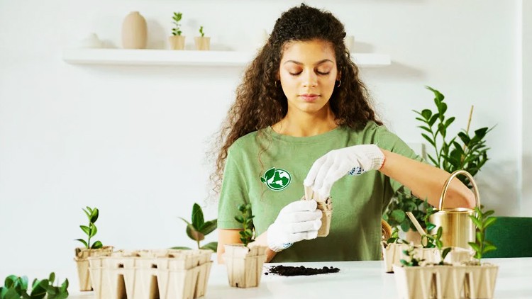 Master Course in Circular Economy 3.0 - Free Online Courses with ...