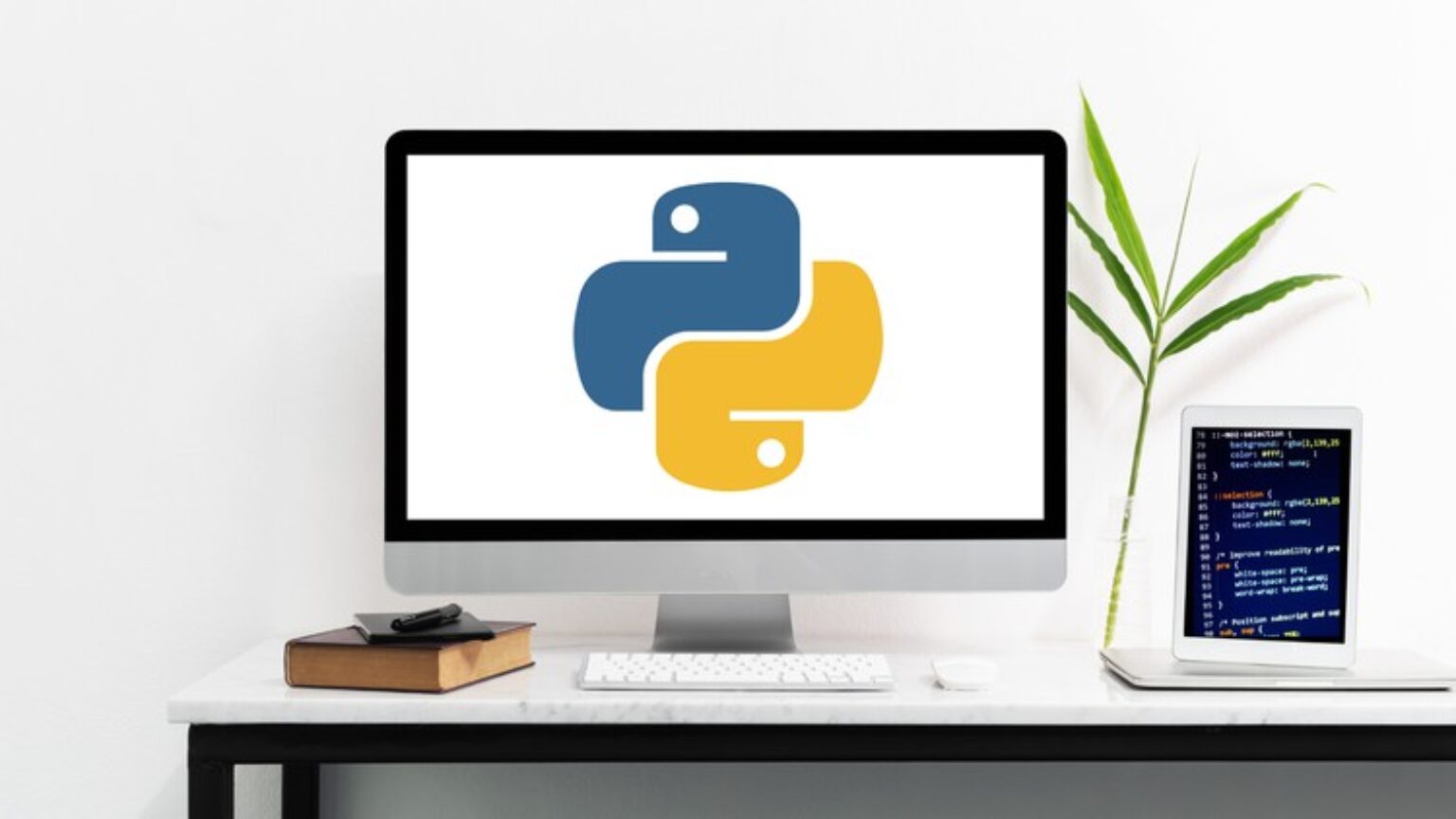 Python Programming- Practice Tests & Interview Questions - Free Online ...