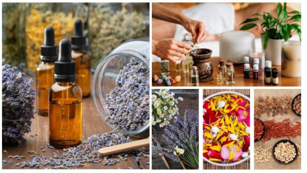 Essential Oils Alchemy: Transform Your Health and Home - Free Online ...