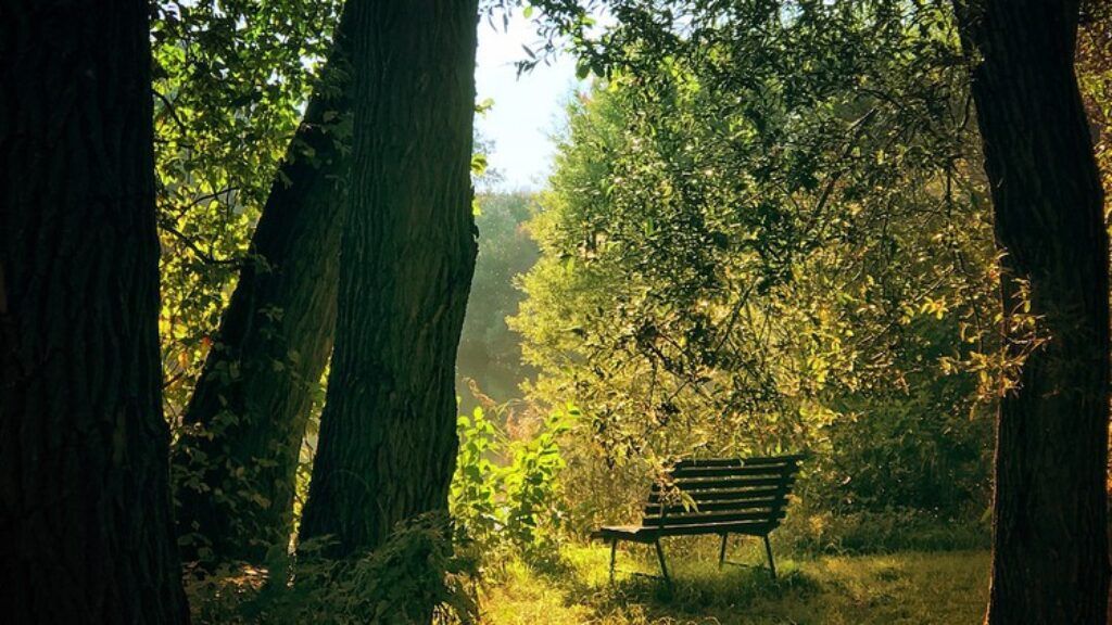 Life extension and Wellbeing - improve your life! - Free Online Courses ...