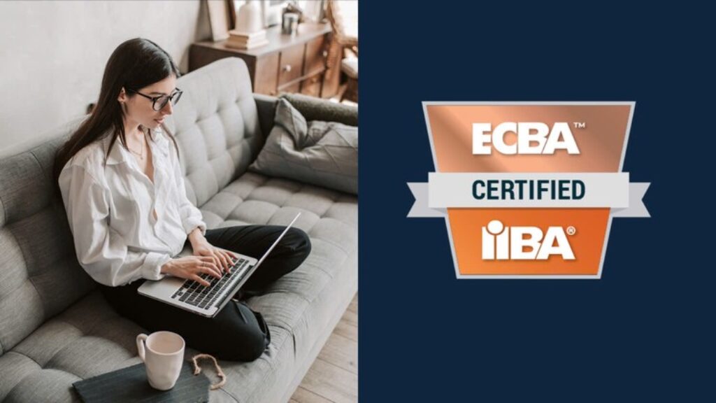 Entry Certificate in Business Analysis (ECBA) Practice Test - Free ...