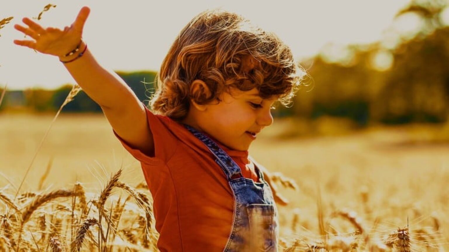 A Complete Inner-Child Healing & Rebirth Online Masterclass - Free ...