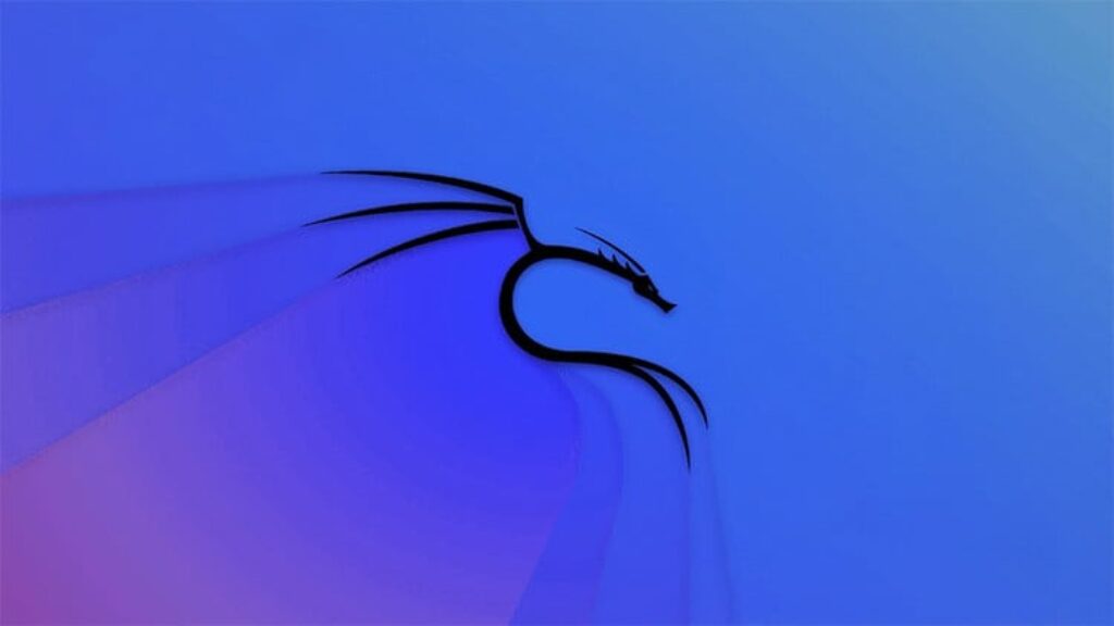 Ethical Hacking: Metasploit, NMAP, Kali, Python 3 y más - Free Online ...