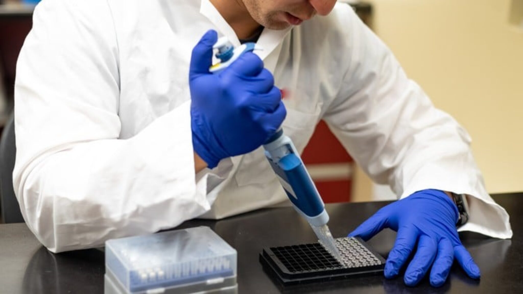 Complete Guide to Enzyme Linked Immunosorbent Assay (ELISAs) - Free ...