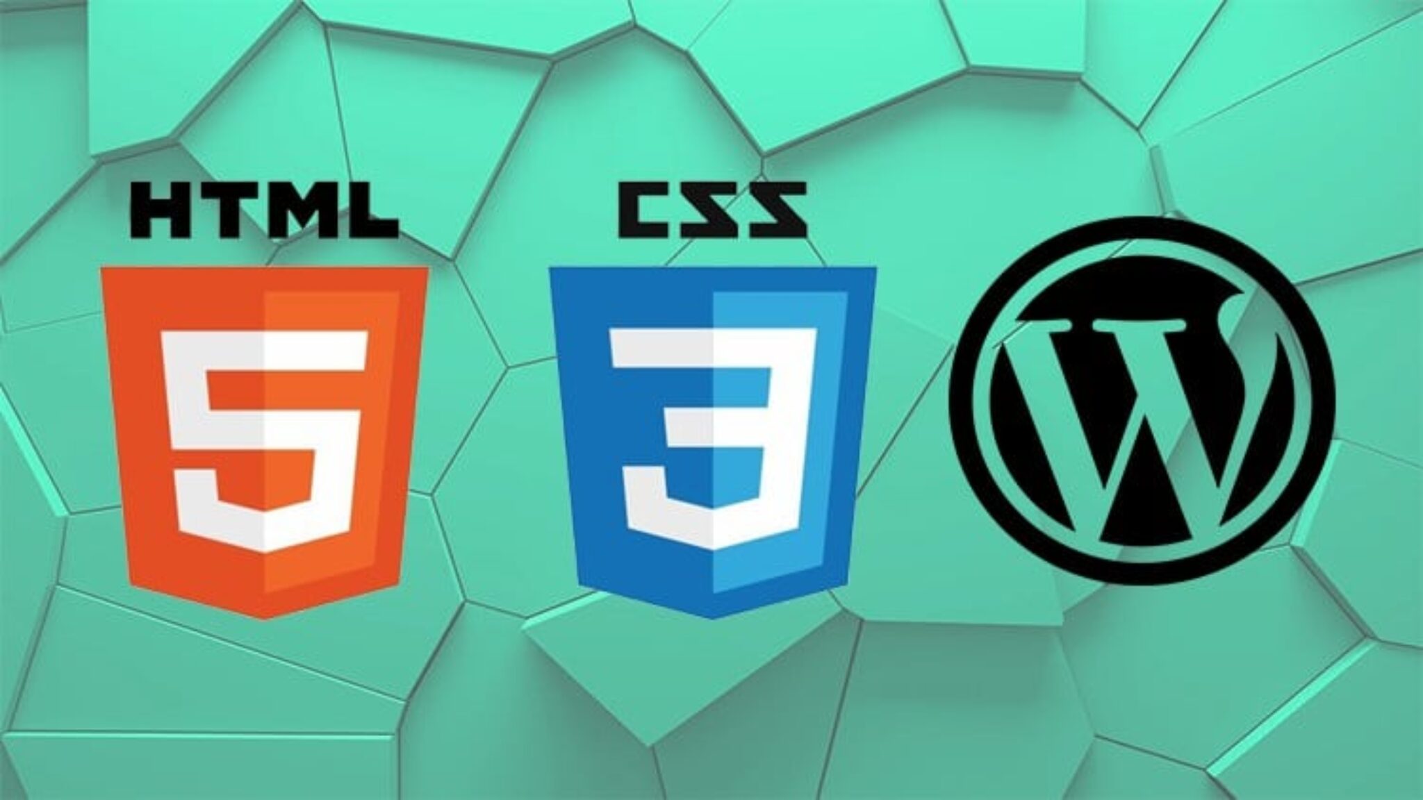 Web Design Course for Beginners to Intermediate - Free Online Courses ...